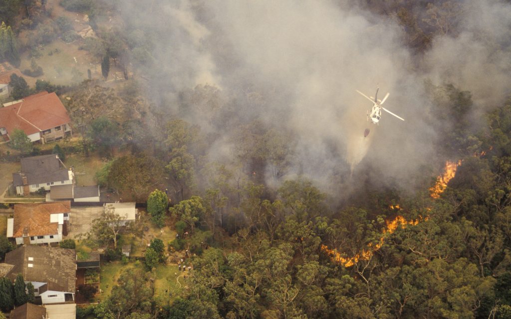 Protecting Health and Homes: The Role of HEPA Filters in Forest Fire ...